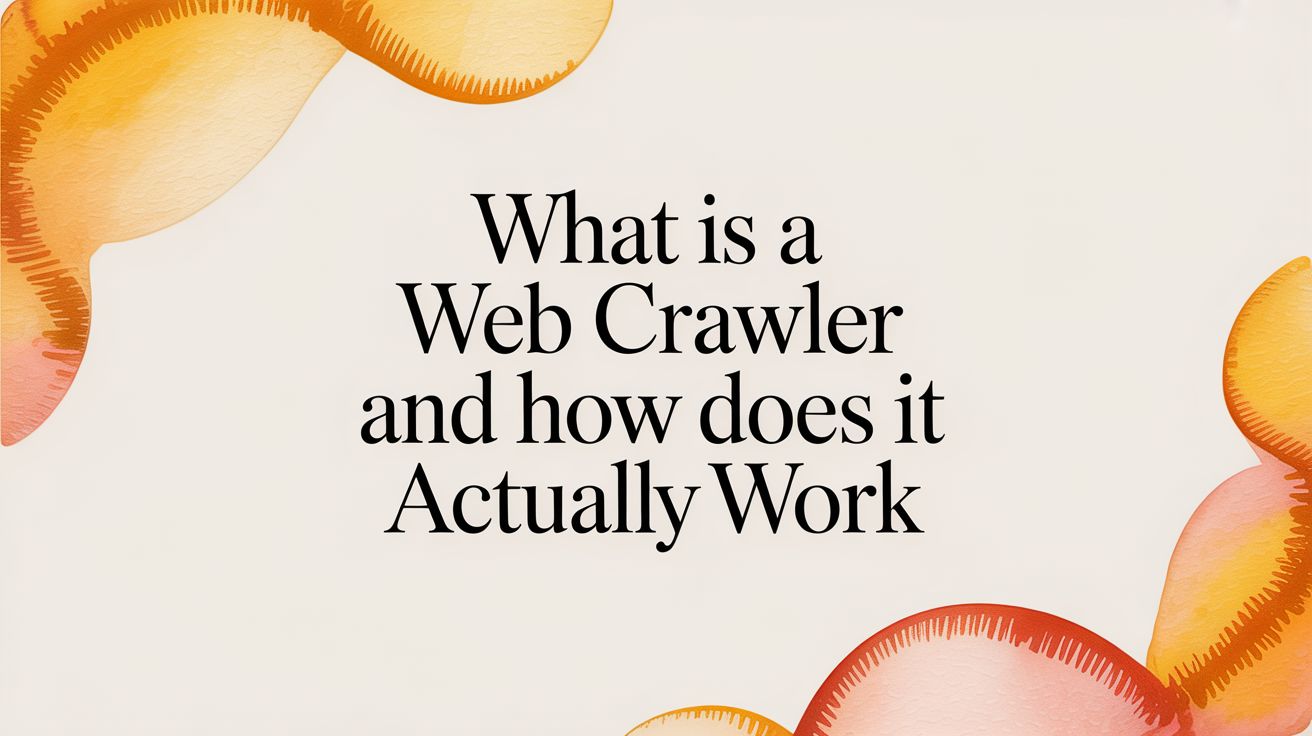 What Is a Web Crawler and How Does It Actually Work - Digital PR Expert ...